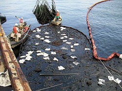 Cedar Bark Oil Absorbent Wins Eco Mark Certification | Japan for ...